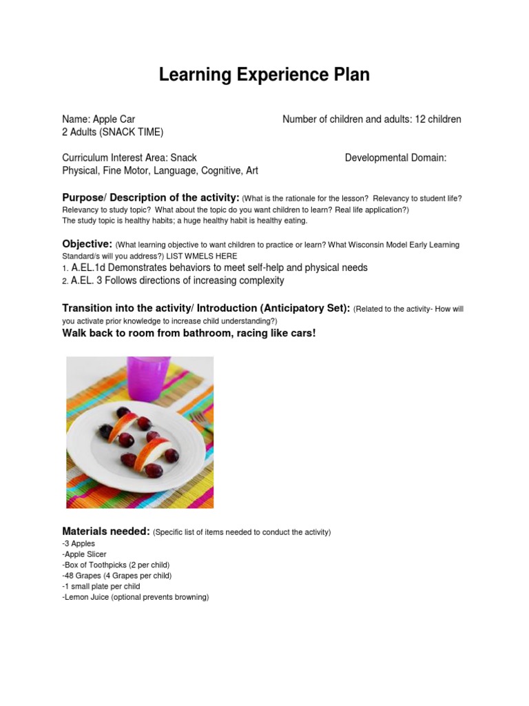 Learning Experience Plan: Purpose/ Description of The Activity ...