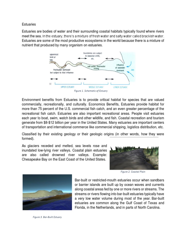 Figure 1. Schematic of Estuary | PDF | Estuary | River Delta