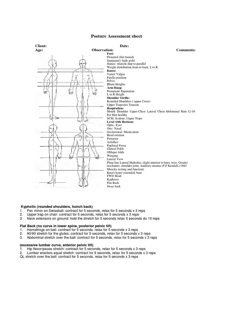 Posture Assessment Sheet | PDF | Pelvis | Anatomical Terms Of Motion