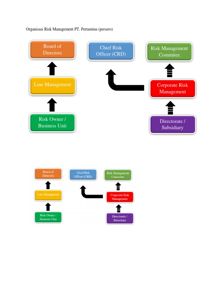 Board of Directors Chief Risk Officer (CRD) Risk Management Commitee | PDF