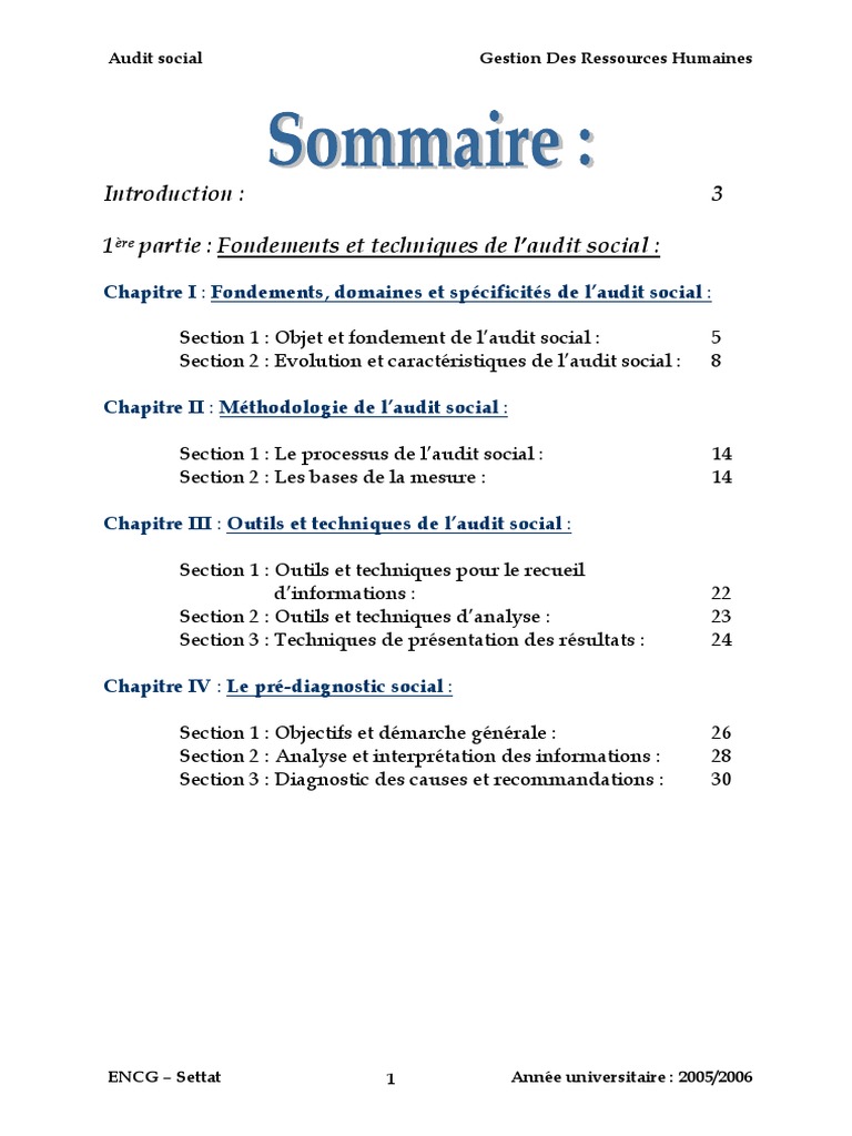 Audit Social | PDF | Audit | Risque