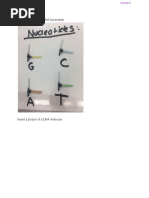 The Mystery of 7th Deaths | PDF | Chemistry | Biochemistry