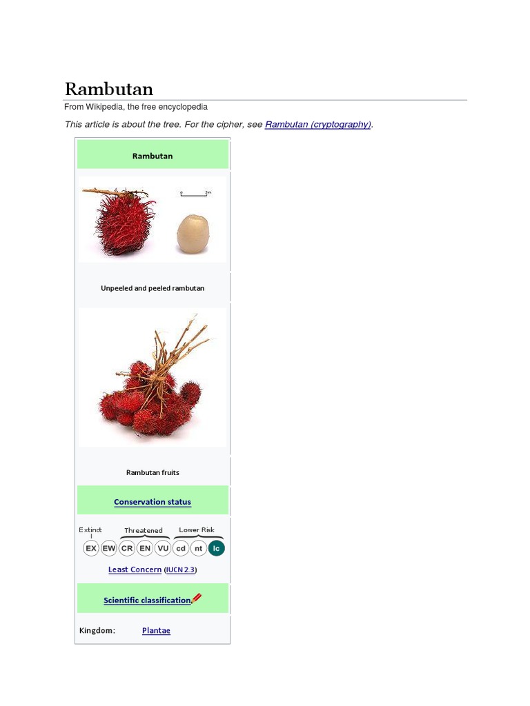 Rambutan | PDF | Plant Reproduction | Horticulture And Gardening
