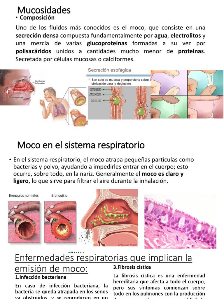 Mucosidades | PDF | Moco | Ciclo menstrual
