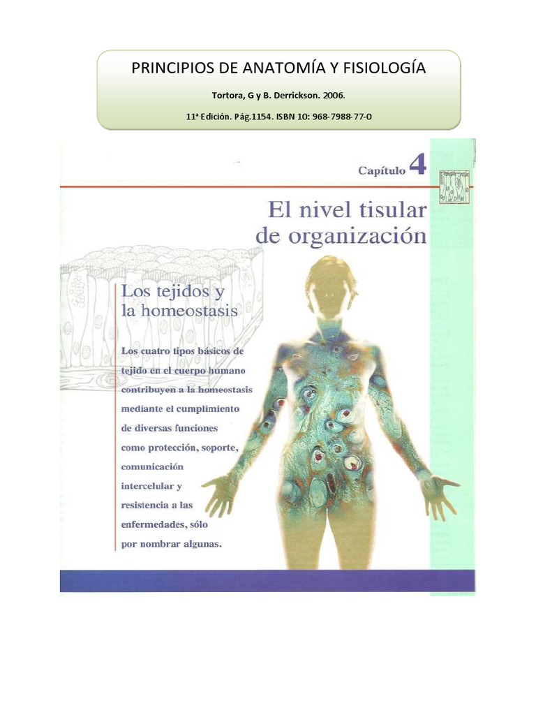 Material de Tejidos Libro Tortora "PRINCIPIOS DE ANATOMÍA Y FISIOLOGÍA ...