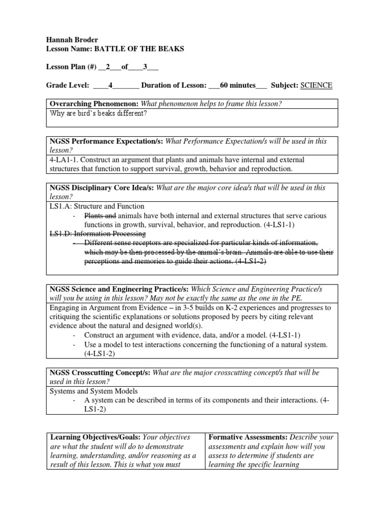Battle of The Beaks Lesson Plan | PDF | Educational Assessment | Experiment