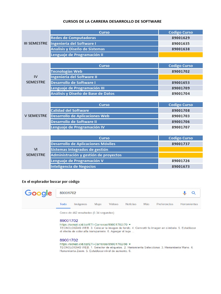 Cursos de Carrera de Desarrollo de Software | PDF