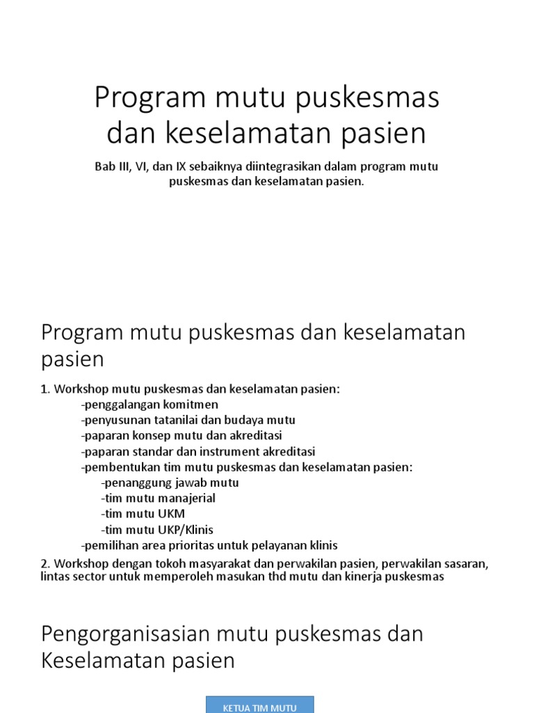 Program Mutu Puskesmas Dan KP | PDF