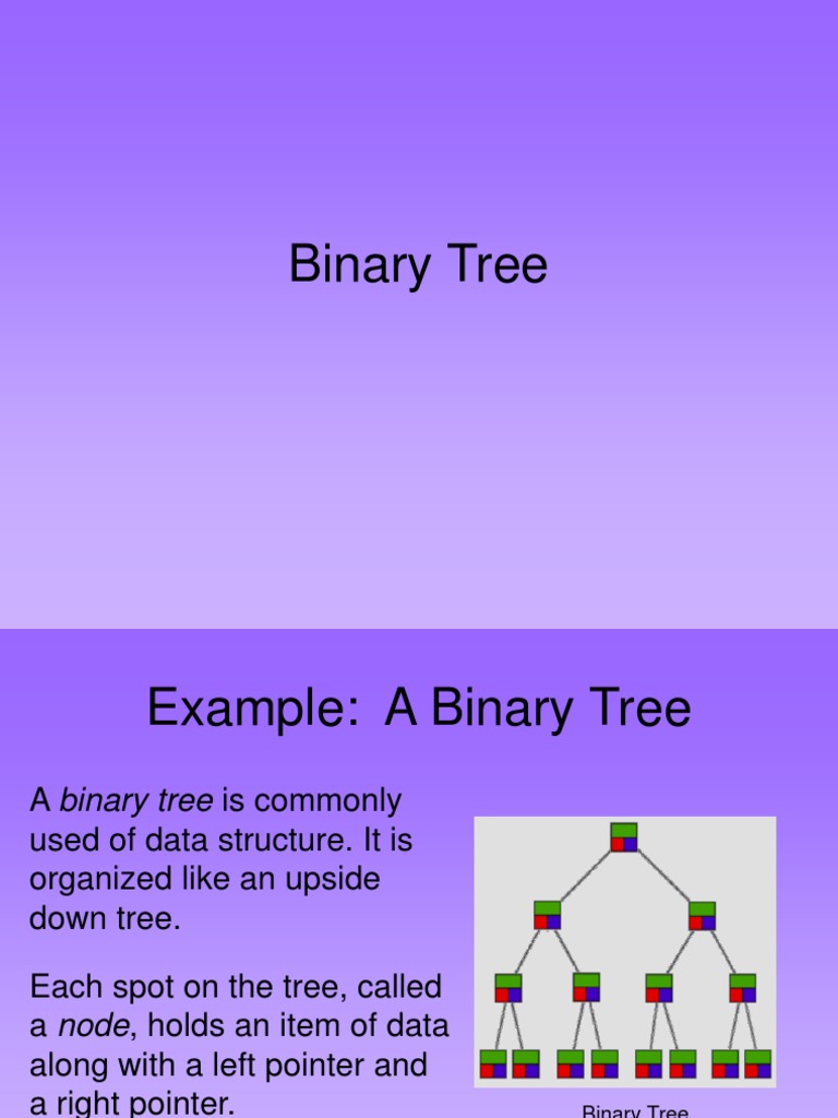 Binary | PDF