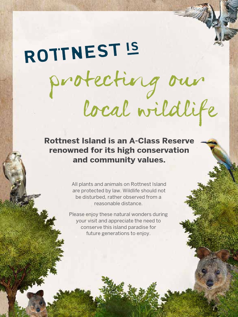 Protect Our Local Wildlife Brochure | PDF | Wildlife | Conservation Biology