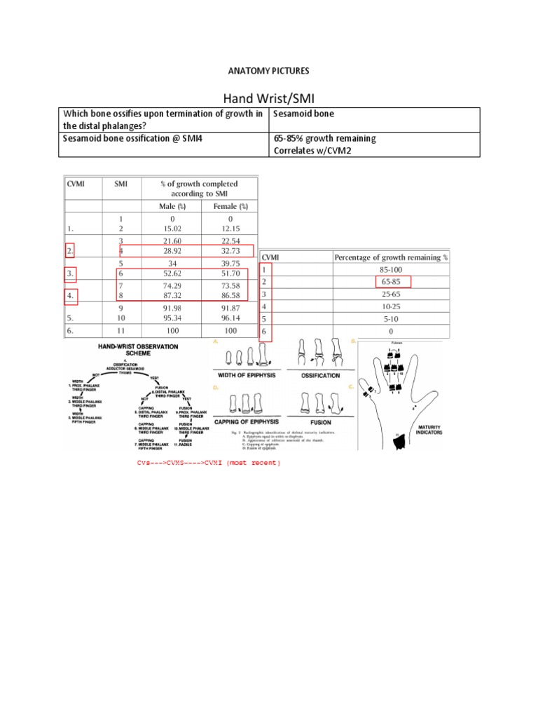 Anatomy Master Module | PDF | Human Head And Neck | Skeletal System