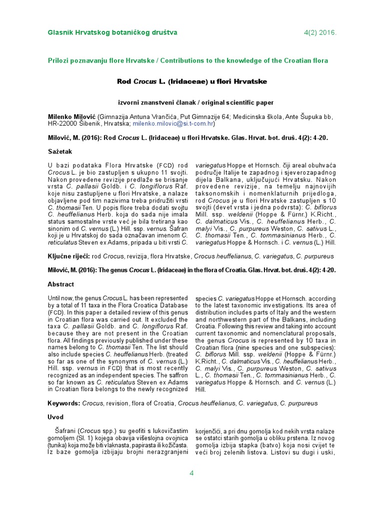 01 Milovic Crocus | PDF