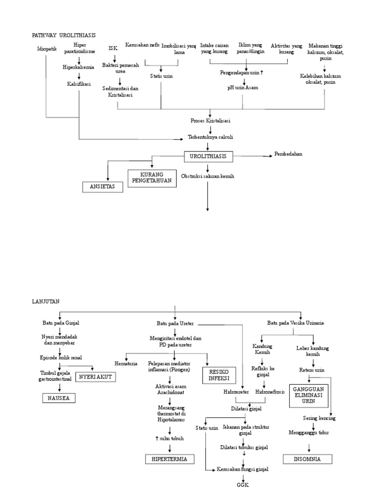 Pathway Batu Ureter Fix | PDF
