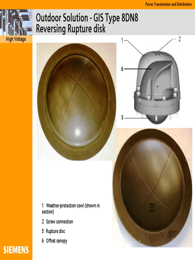 View Rupture Disc | PDF