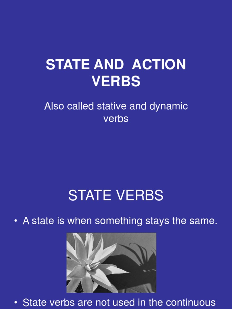 State and Action Verbs | PDF