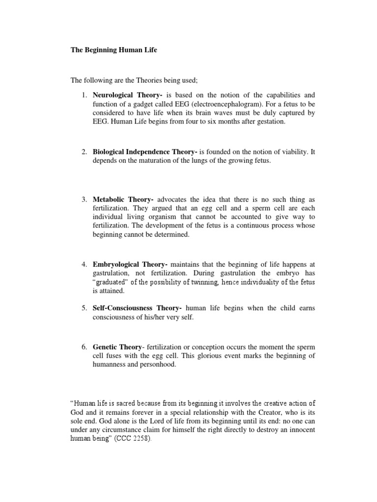 Theories on When Human Life Begins | PDF