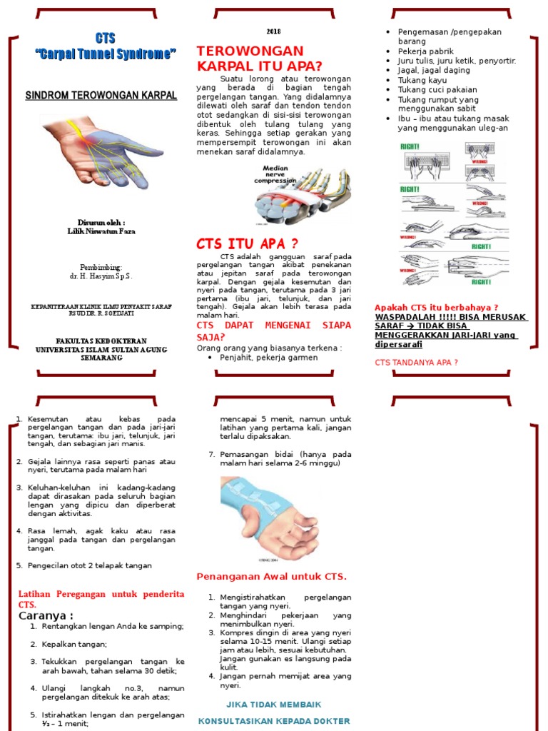 Leaflet Cts 1 | PDF