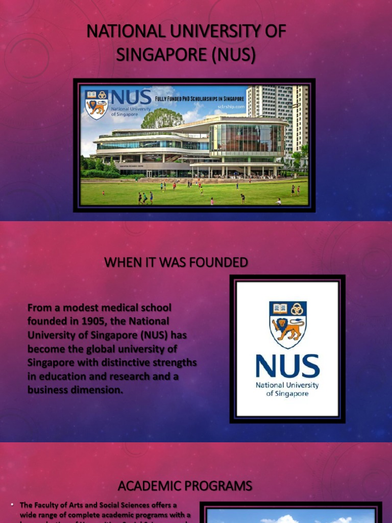 Overview of NUS and Its Programs | PDF | Science And Technology | Academia