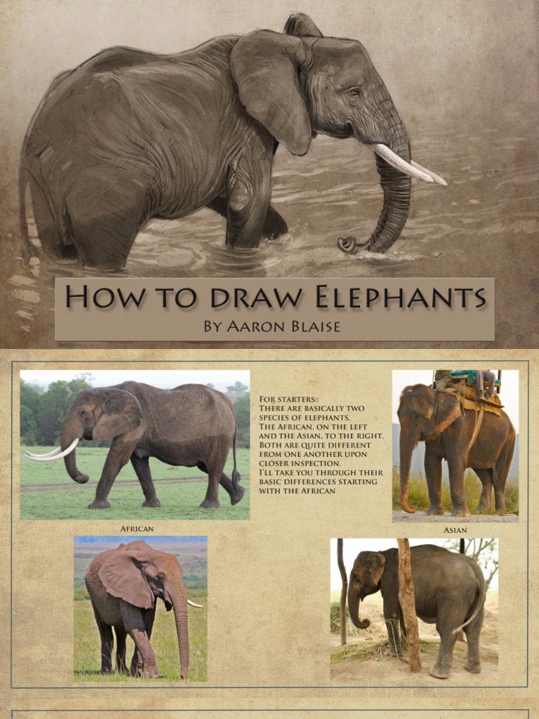 How To Draw Elephants | PDF