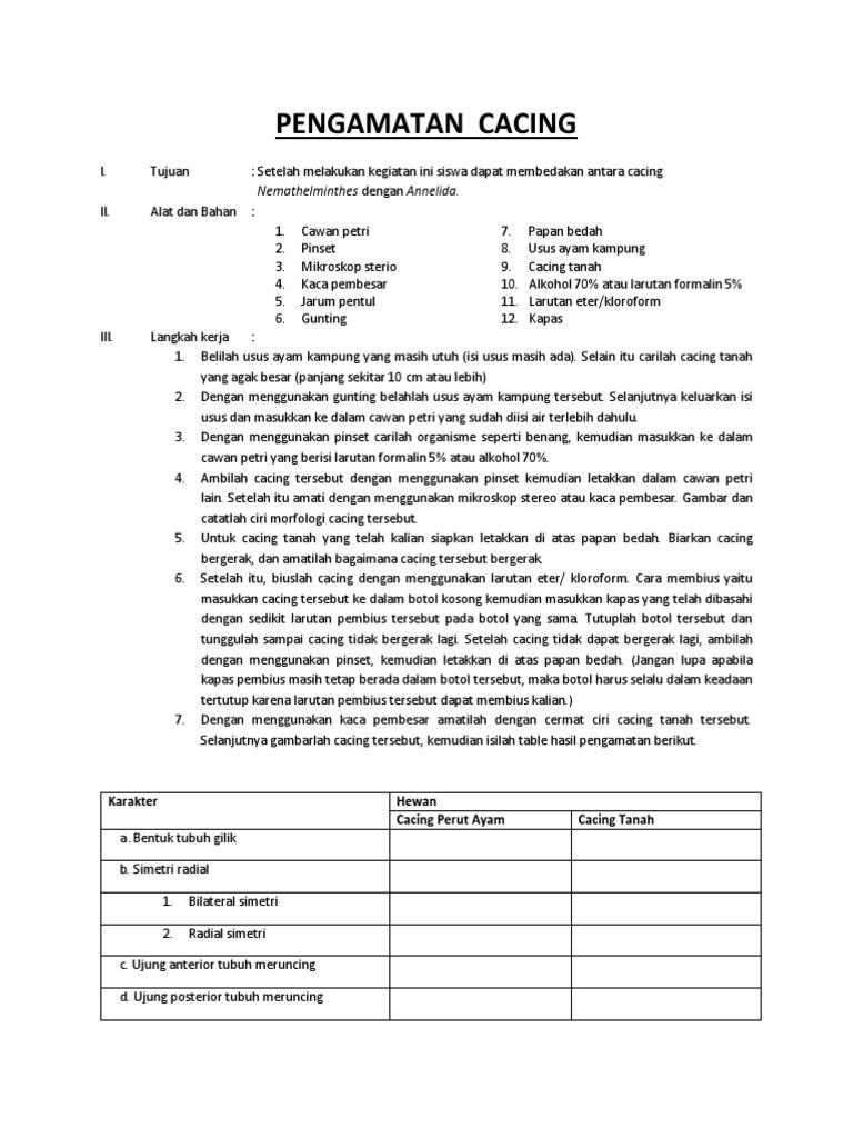 Pengamatan Cacing | PDF