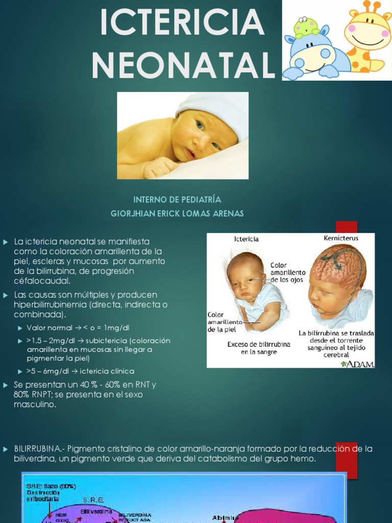 Ictericia Neonatal | Descargar gratis PDF | Especialidades Medicas | Medicina CLINICA