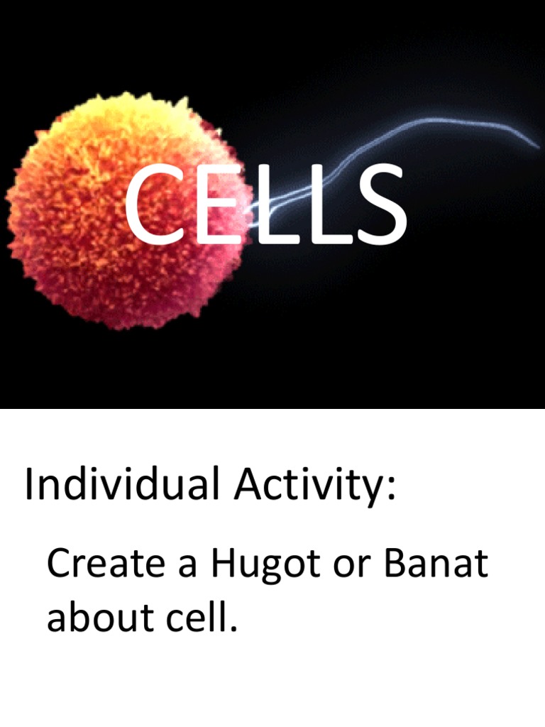 Intro, Cell Structure | PDF | Cell Nucleus | Cell (Biology)