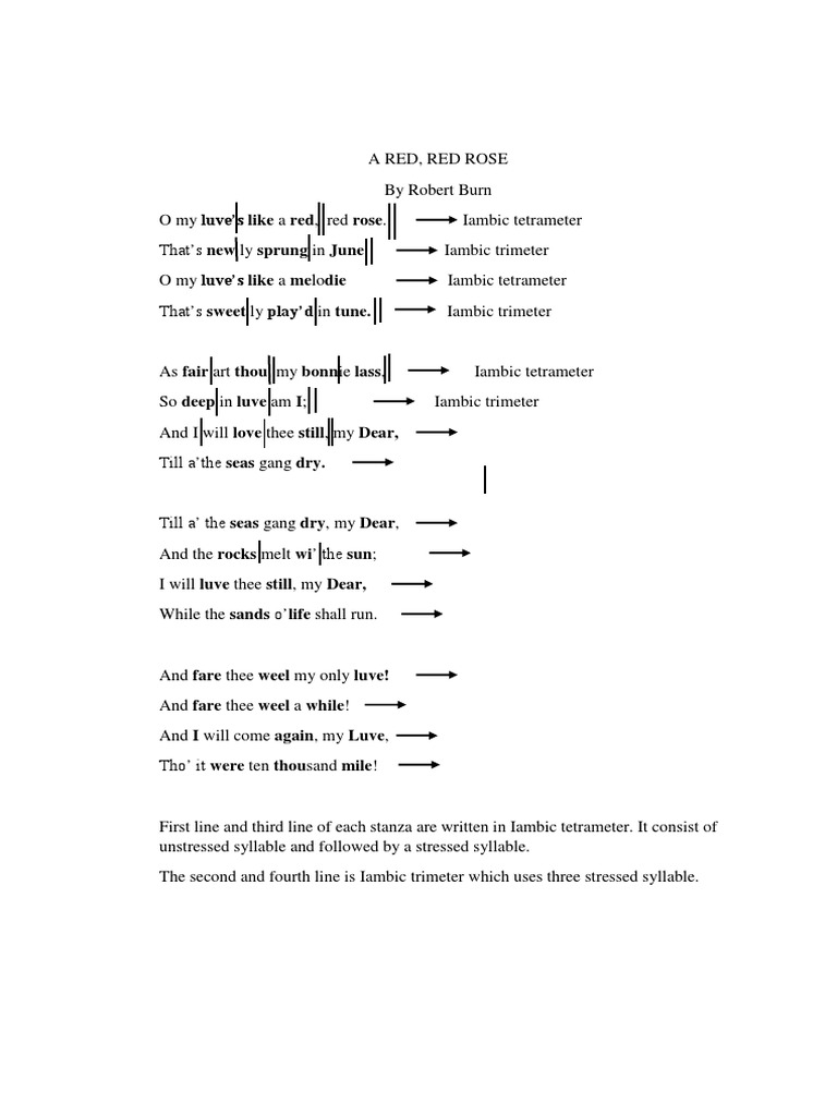 Analysis Red Rose | PDF | Poetics | Poetic Form