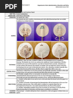 Davies Liquid Tile Brochure | PDF | Acrylic Paint | Building Engineering
