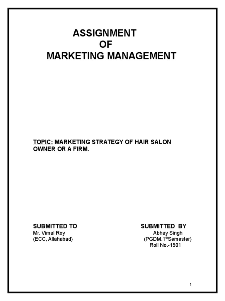 Hair Salon Marketing Strategy Overview | PDF | Marketing Strategy ...