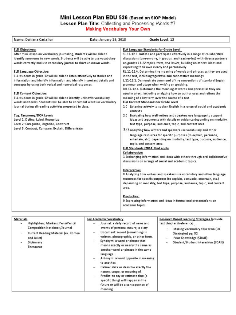 Mini Lesson Plan 1 | PDF | Reading Comprehension | Vocabulary