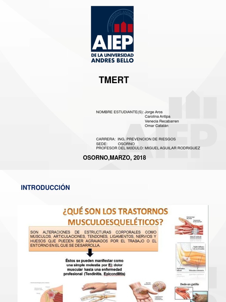 Protocolo TMERT | PDF | Dolor lumbar | Enfermedades y trastornos