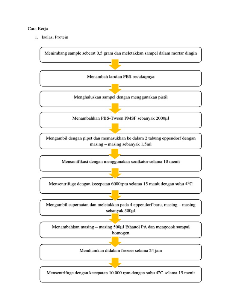 Alat Bahan Dan Cara Kerja Isolasi Protein | PDF