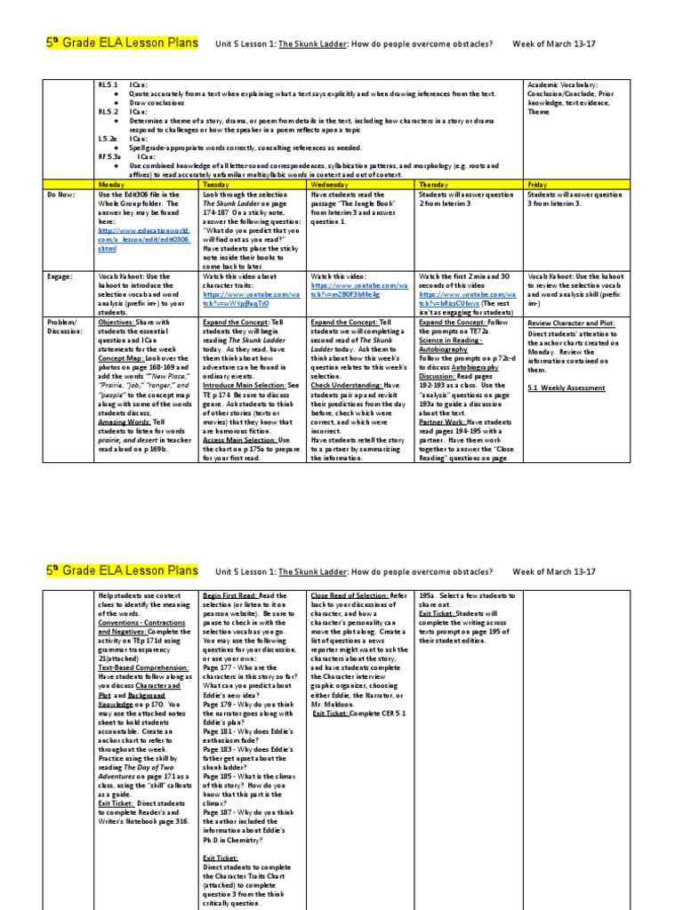 Ela 5 | PDF | Reading Comprehension | Cognitive Science