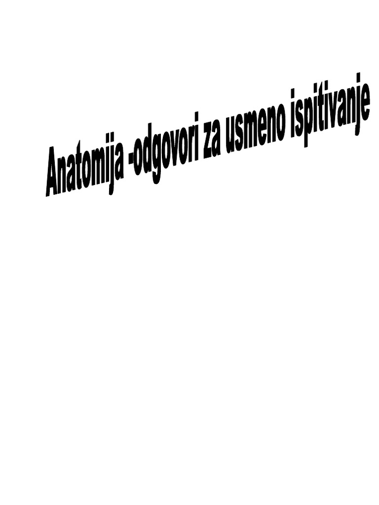 Anatomija Skripta (1) - 2 | PDF