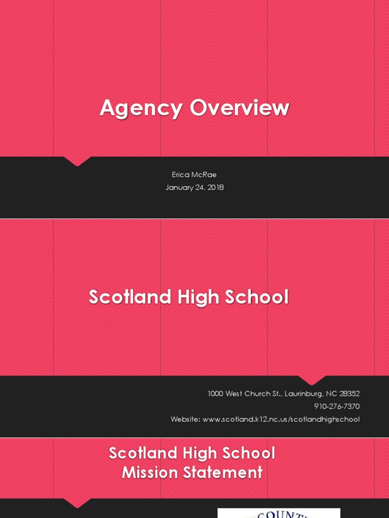 Agency Overview | PDF