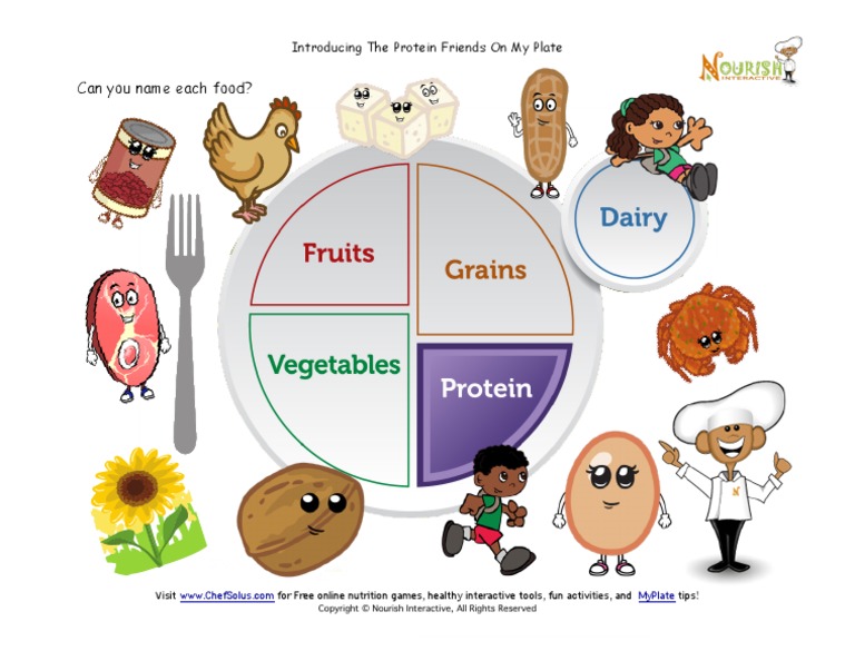 Myplate Healthy Protein Foods Activity Page | PDF