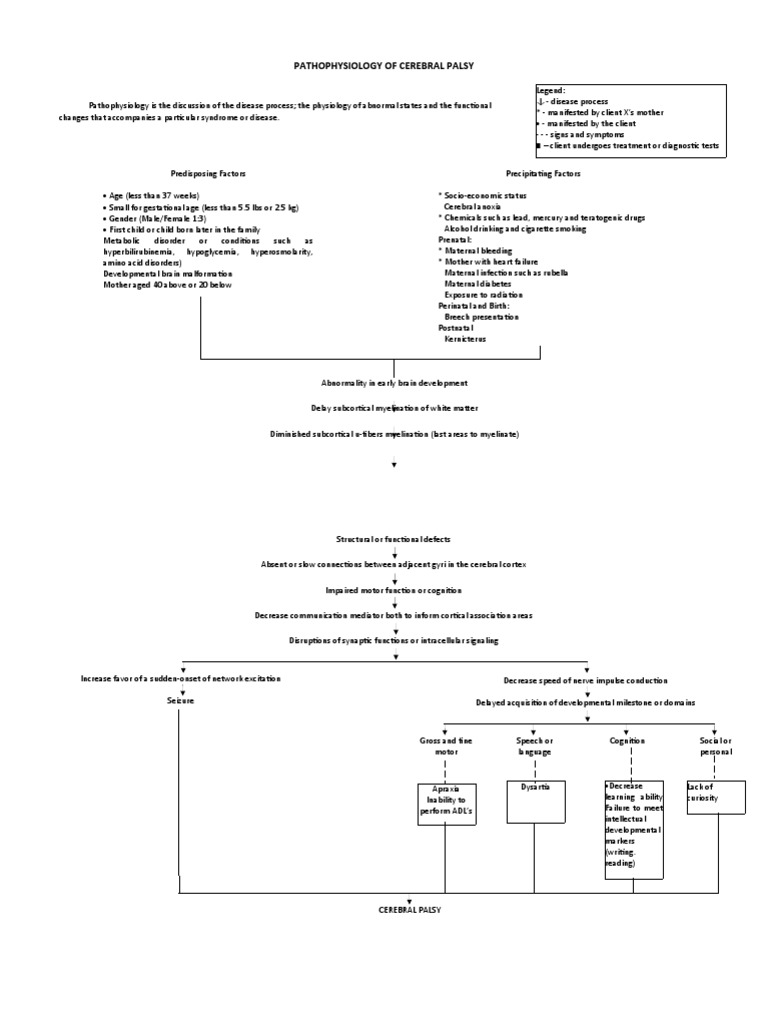 Pathophysiology of Cerebral Palsy | PDF | Cerebral Cortex | Cerebral Palsy