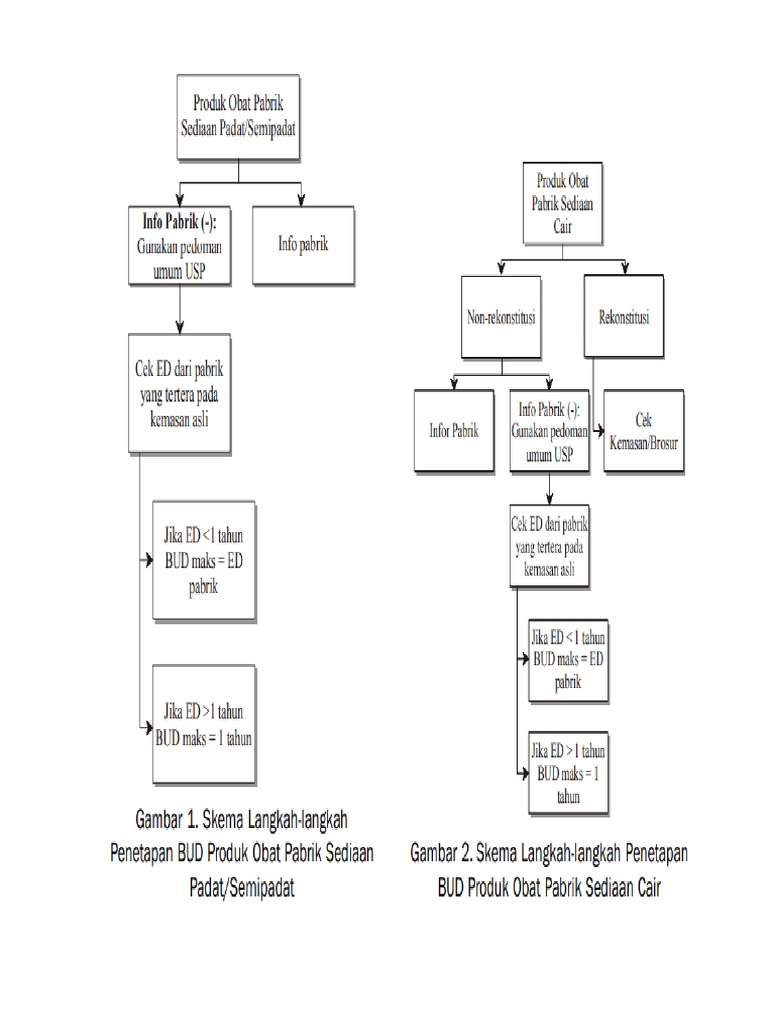 Bud Obat | PDF