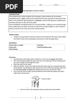 Lab Report - Phloem & Xylem | PDF | Plant Stem | Tissue (Biology)