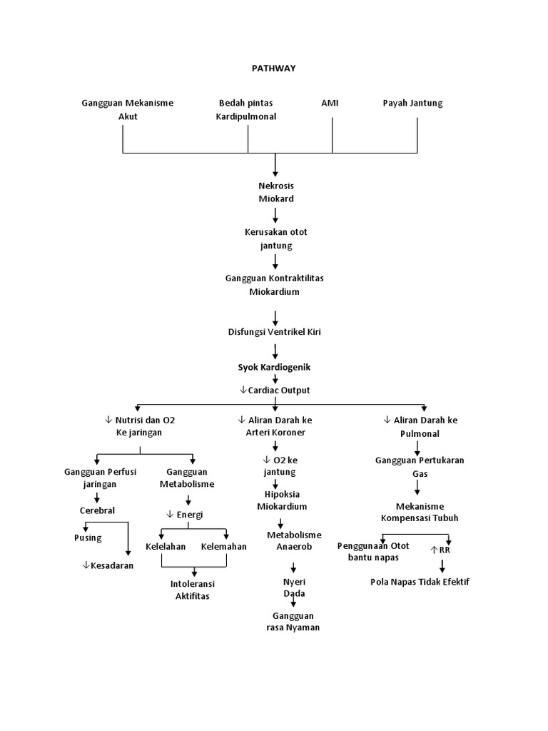 Pathway Syok Kardiogenik | PDF