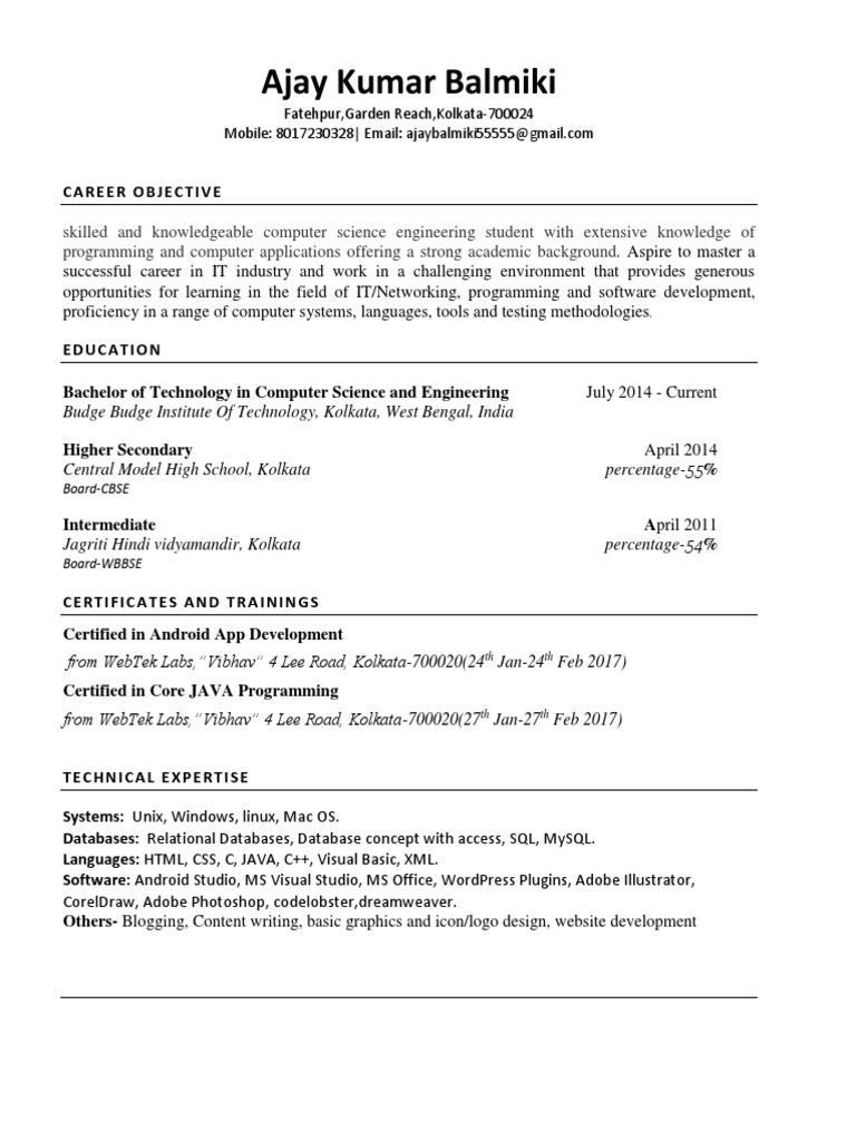 Ajay Professional CV | PDF | Web Development | Computing