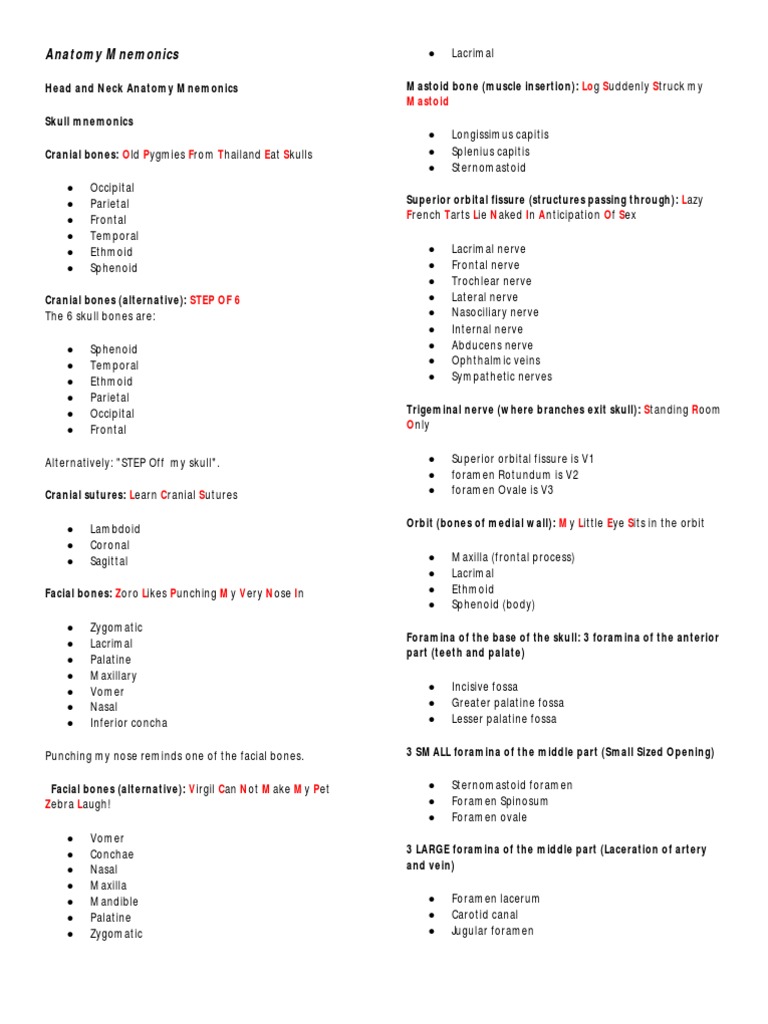 Anatomy Mnemonics Muscles