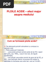 Ploaia Acida | PDF