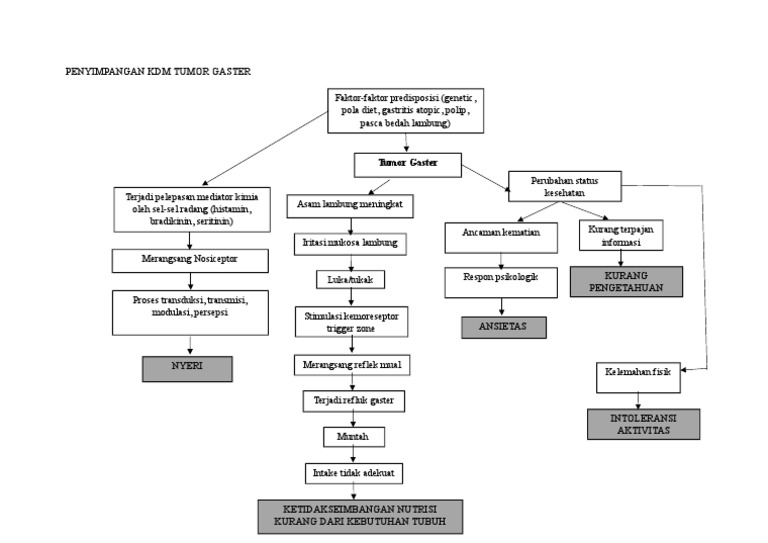 Penyimpangan KDM Tumor Gaster 1 | PDF