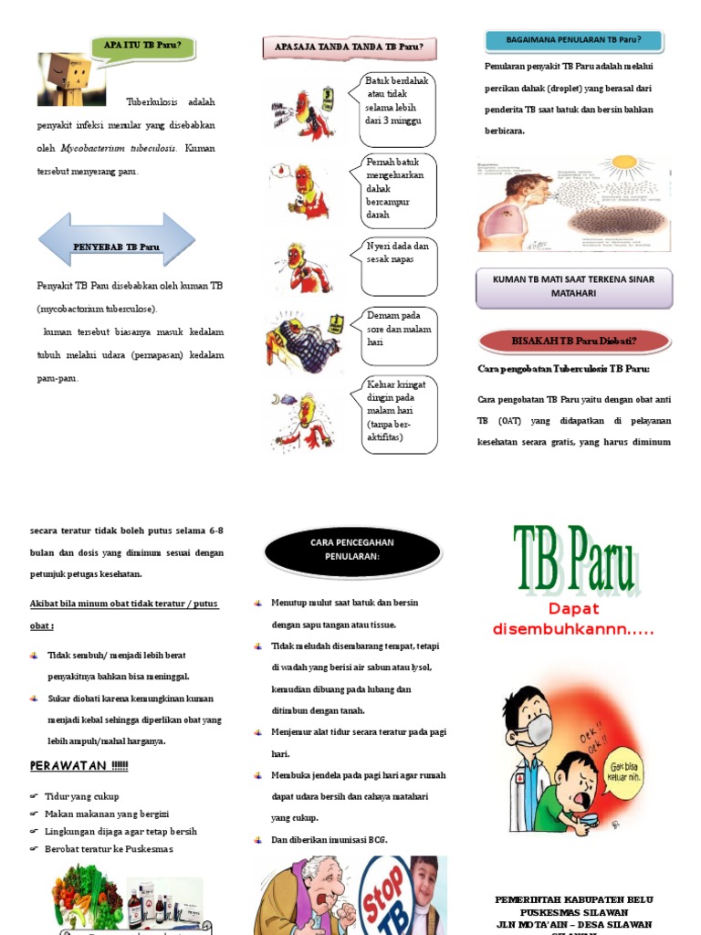 Leaflet TB Paru | PDF