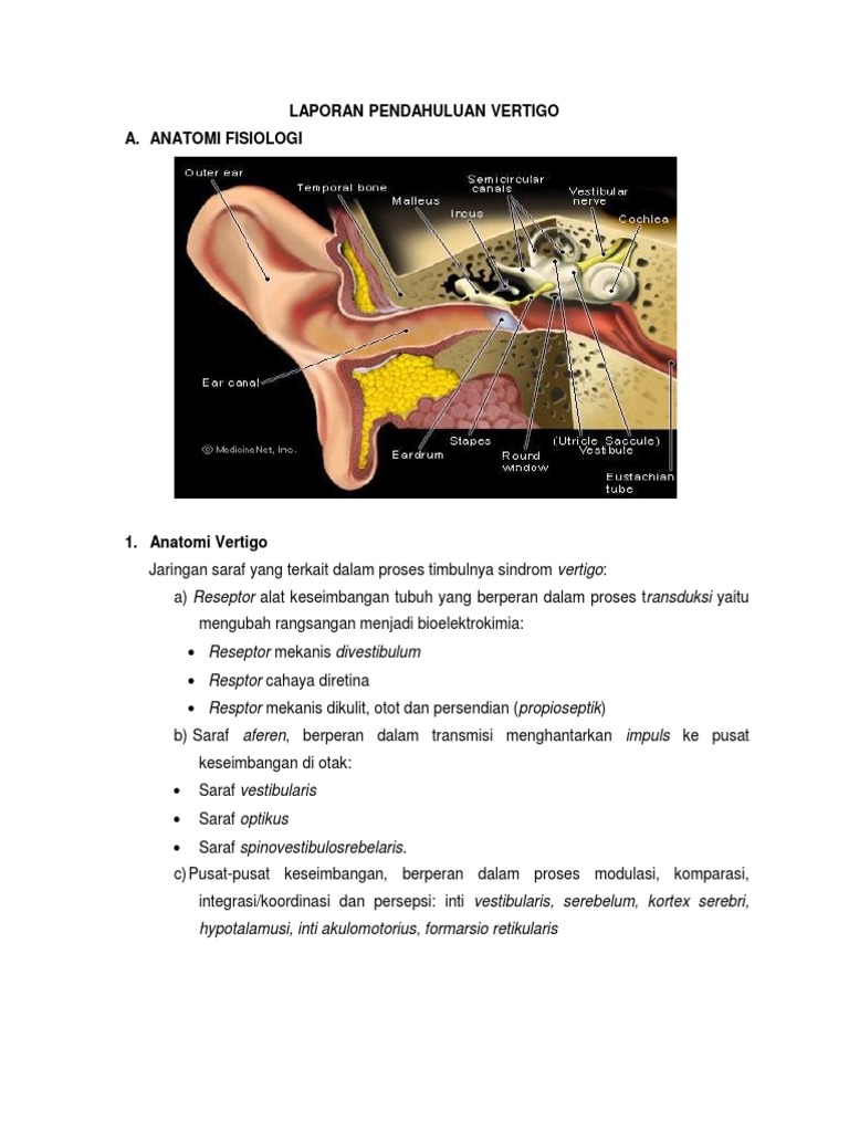 ANATOMY AND PHYSIOLOGY OF VERTIGO | PDF