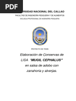 Desinfección Efectiva con Yodóforos | PDF | Ph | Agua