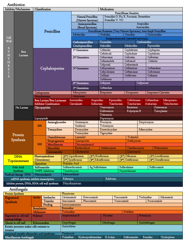 Antibiotics Handout Reference | PDF