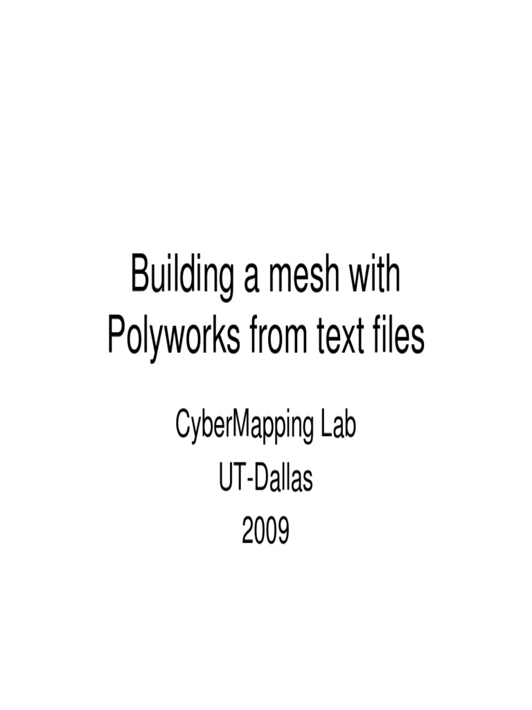 Polyworks Cybermapping - 2009 Building A Mesh From Text Files | PDF | 3 ...