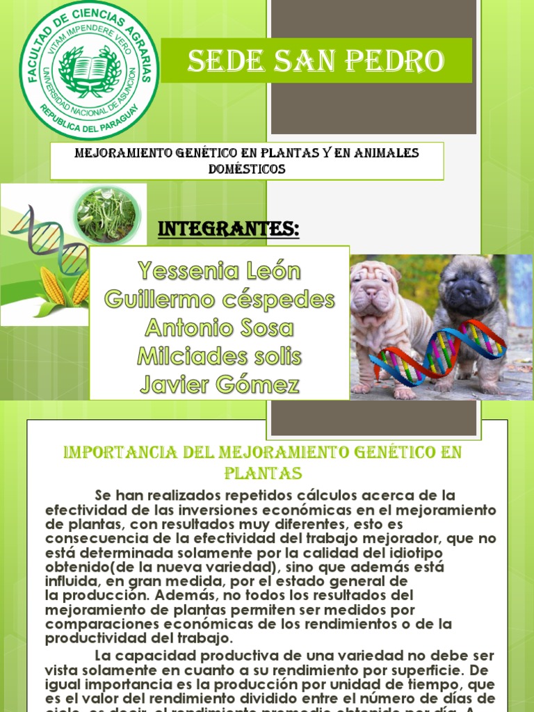 Mejoramiento Genético en Plantas y en Animales Domésticos | PDF | Híbrido (biología) | Domesticación